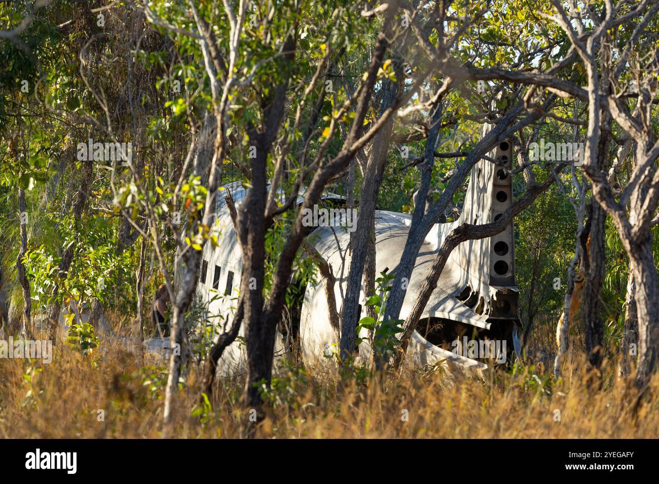 C53 Plane Wreck in The Kimberley, Australia Stock Photo - Alamy