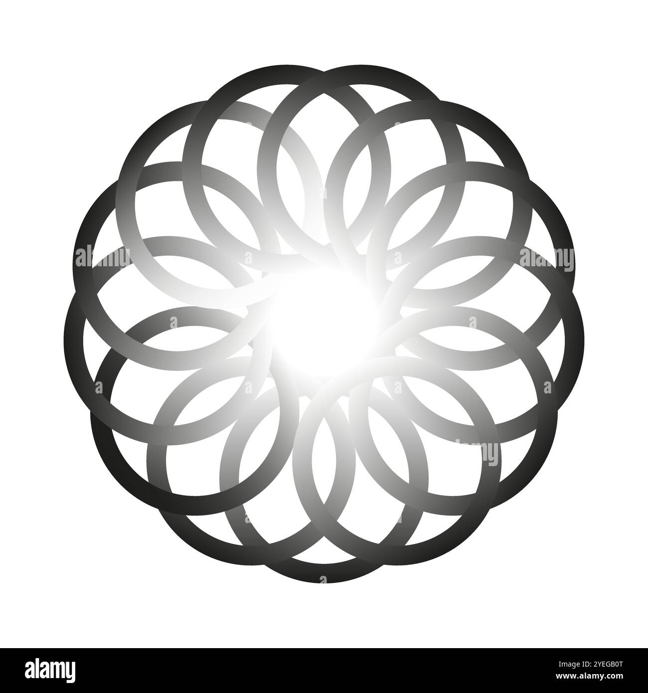 Flower with overlapping petals hi-res stock photography and images - Alamy