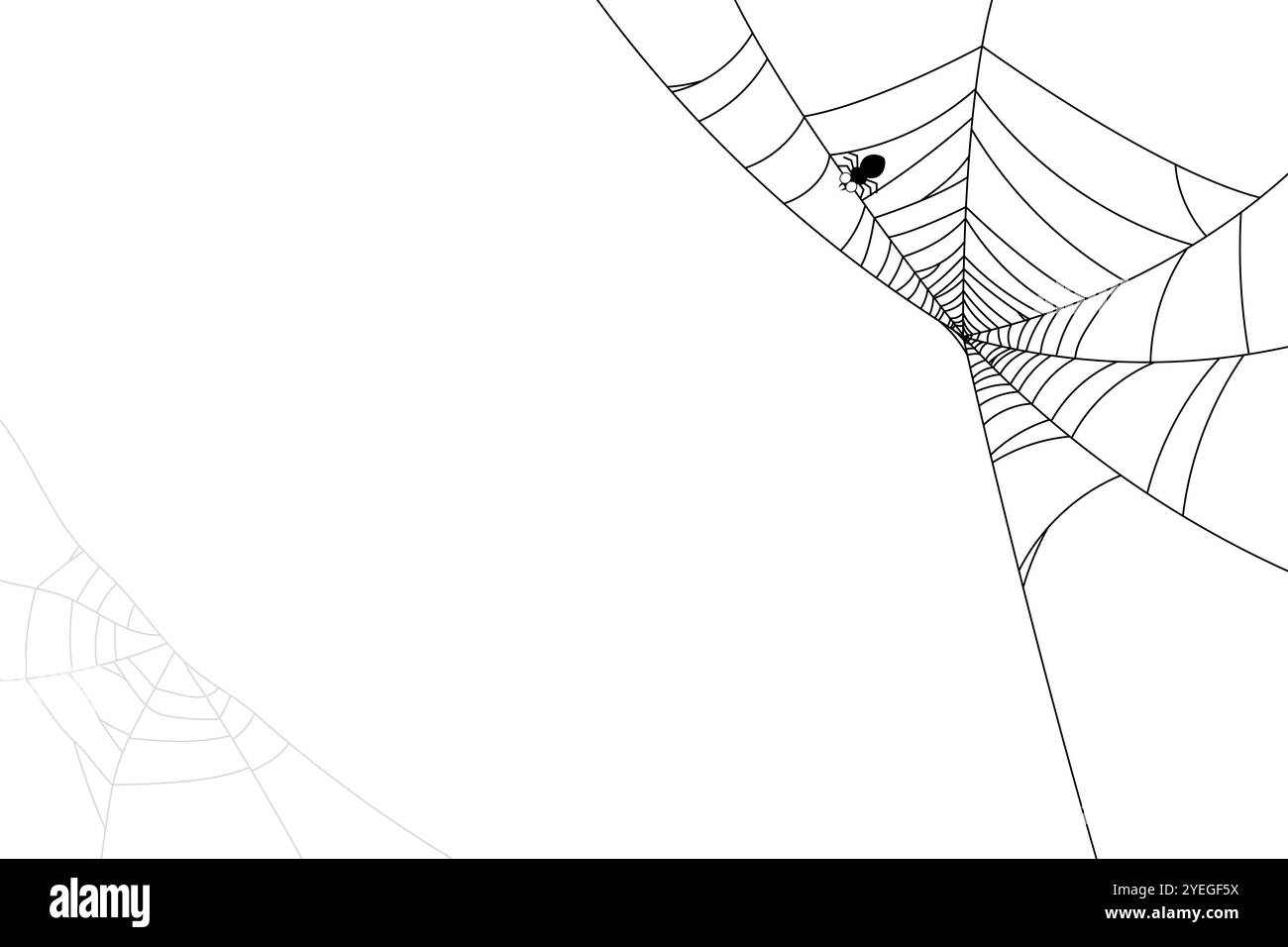 spider web with spider black and white abstract background, no people ...
