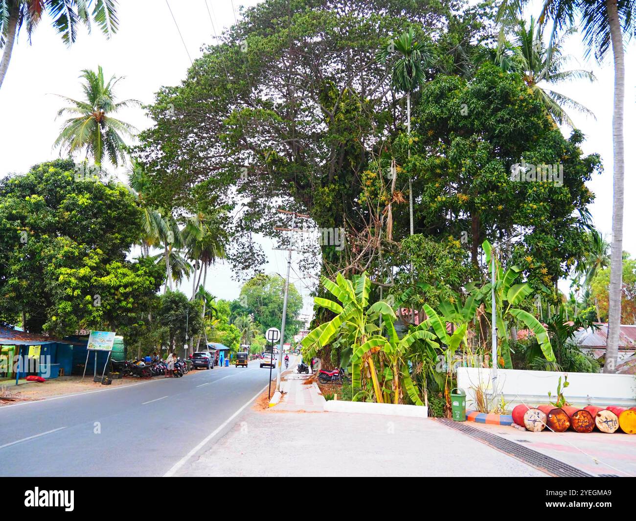 Havelock Island (Swaraj Dweep), Andaman and Nicobar Islands, Andaman ...
