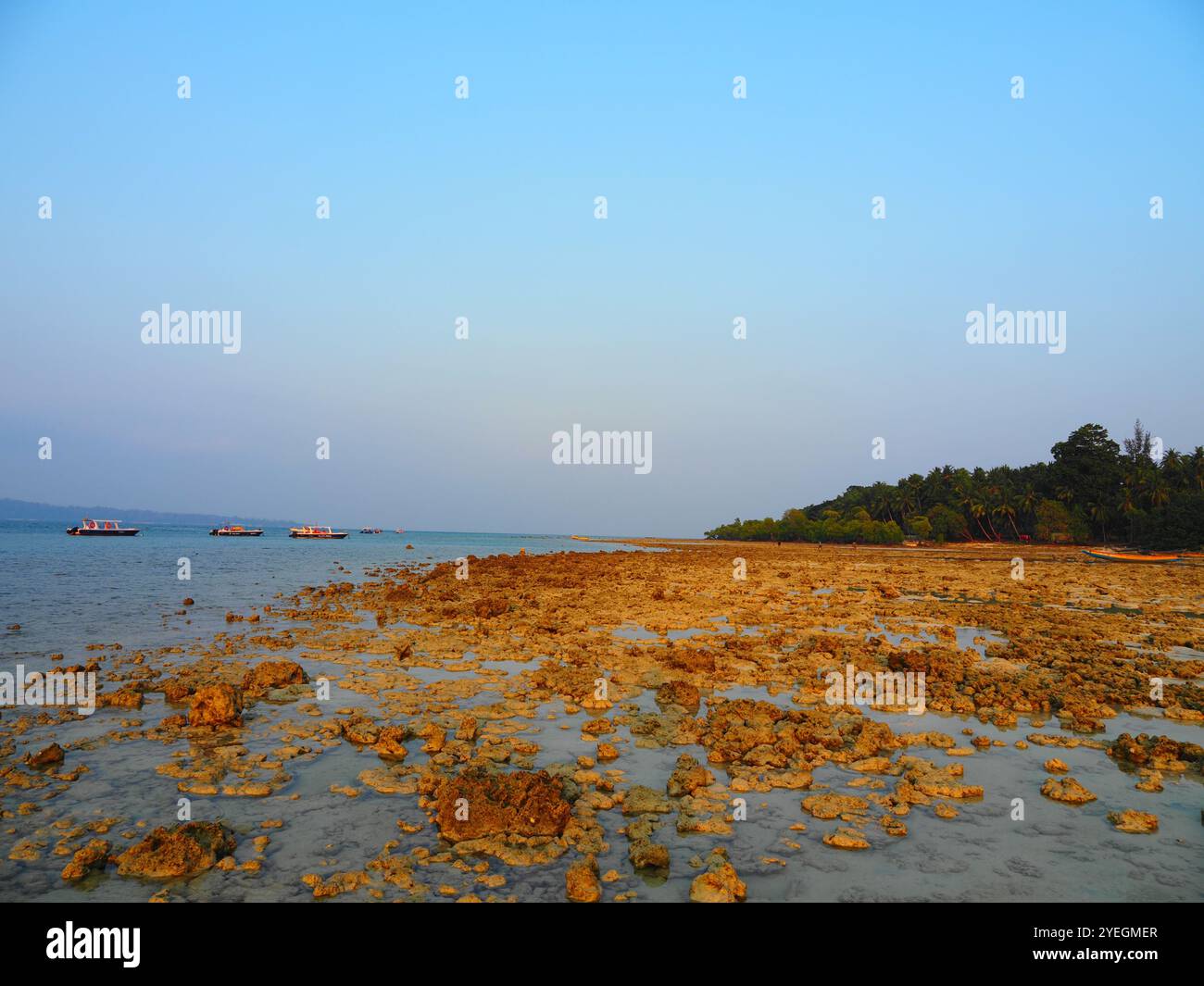 Havelock Island (Swaraj Dweep), Andaman and Nicobar Islands, Andaman ...