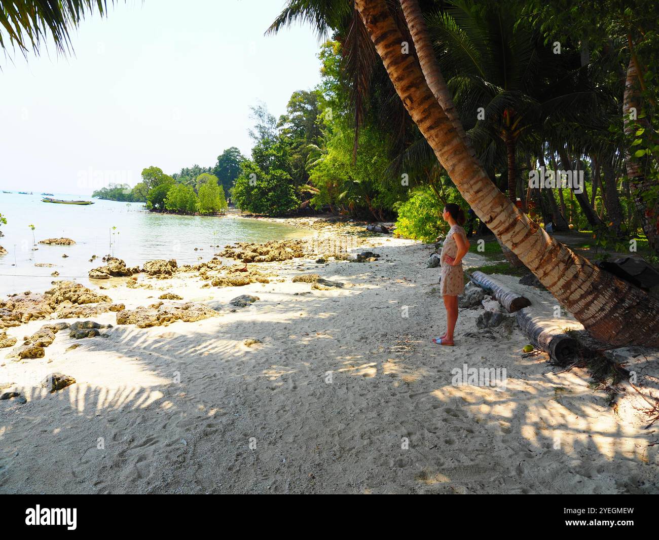 Havelock Island (Swaraj Dweep), Andaman and Nicobar Islands, Andaman ...