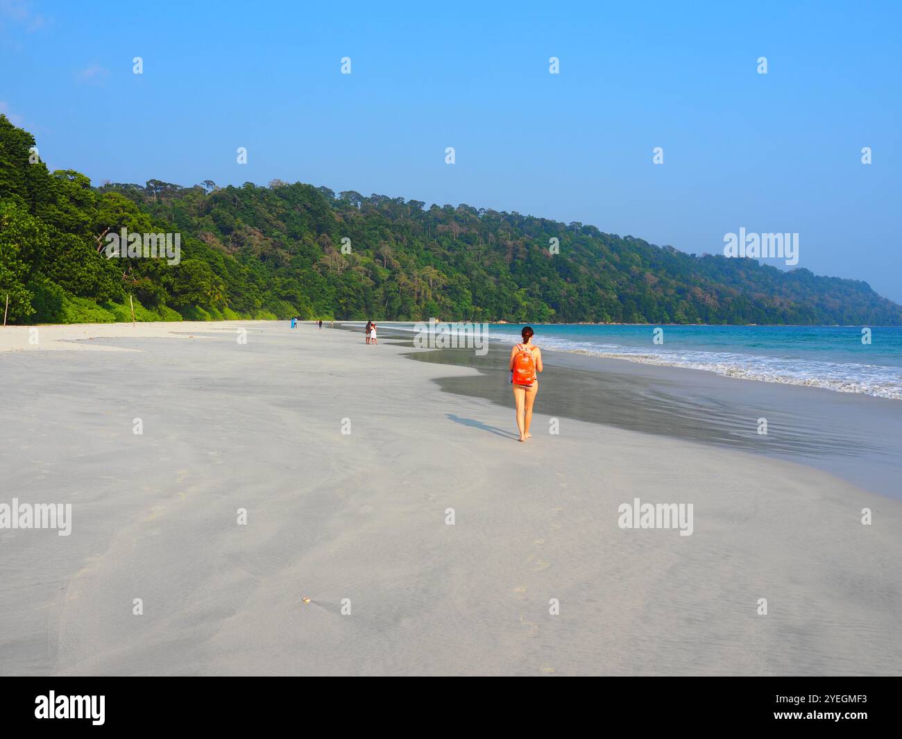 Havelock Island (Swaraj Dweep), Andaman and Nicobar Islands, Andaman Sea, India Stock Photo - Alamy