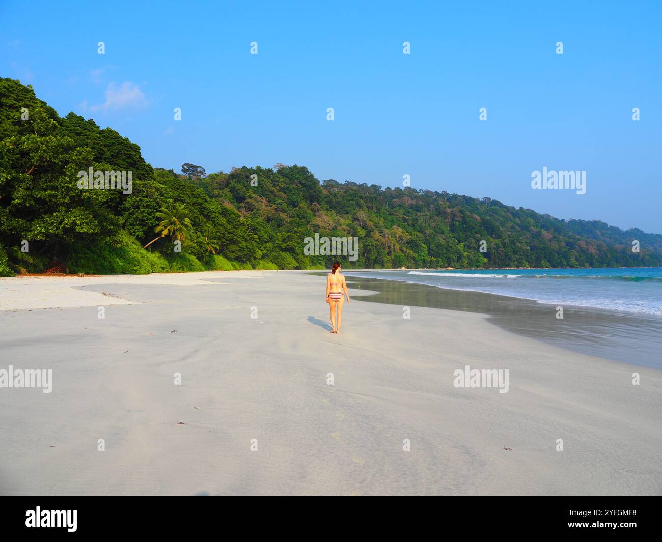 Havelock Island (Swaraj Dweep), Andaman and Nicobar Islands, Andaman ...