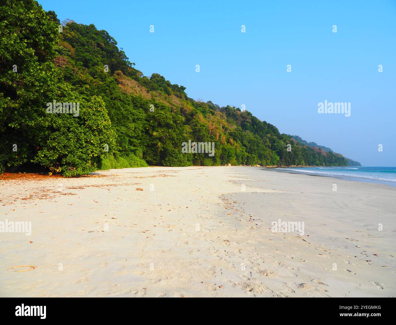 Havelock Island (Swaraj Dweep), Andaman and Nicobar Islands, Andaman ...