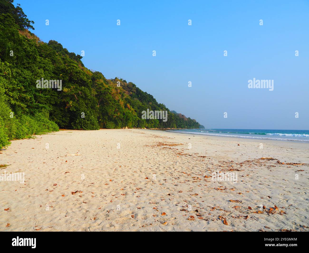 Havelock Island (Swaraj Dweep), Andaman and Nicobar Islands, Andaman ...