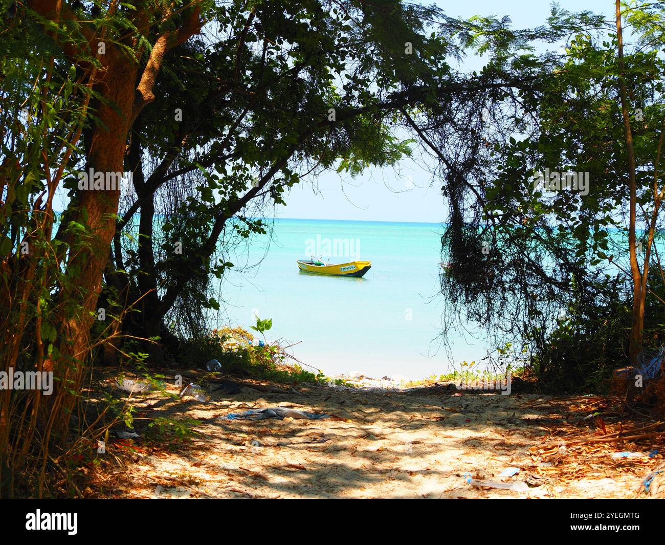 Havelock Island (Swaraj Dweep), Andaman and Nicobar Islands, Andaman ...