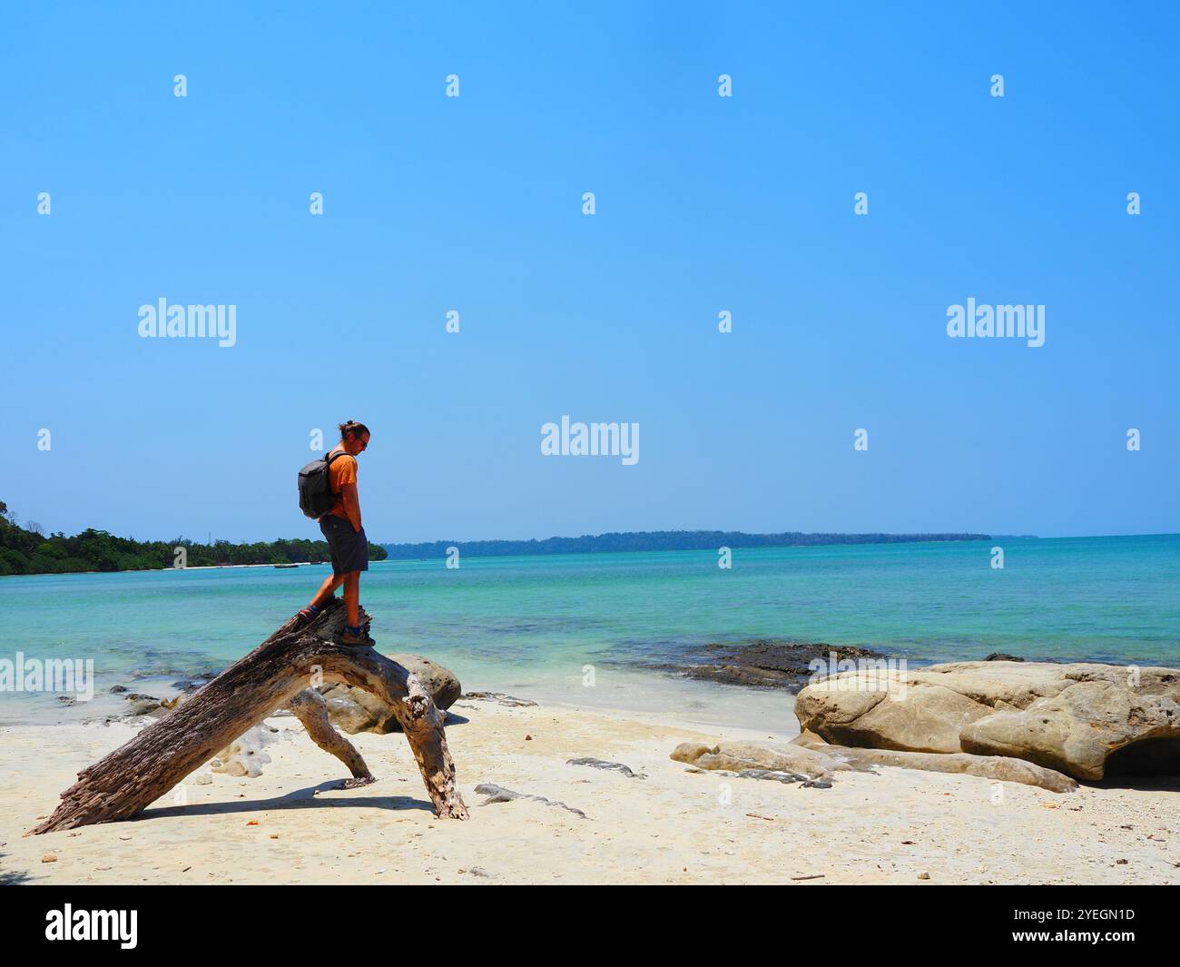 Havelock Island (Swaraj Dweep), Andaman and Nicobar Islands, Andaman ...