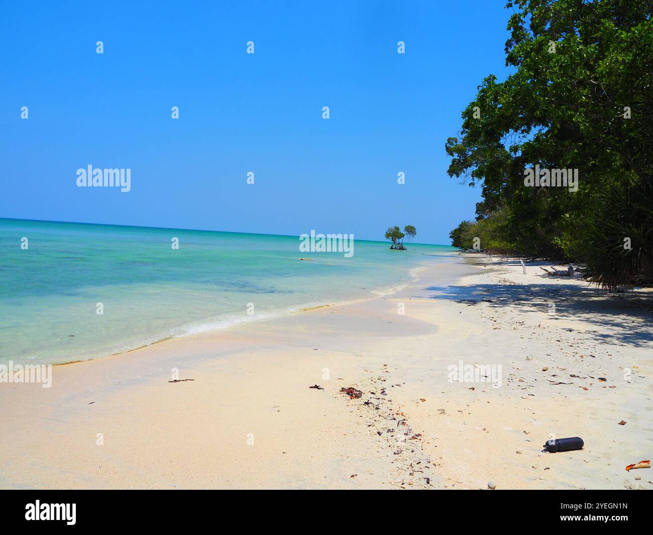 Havelock Island (Swaraj Dweep), Andaman and Nicobar Islands, Andaman ...