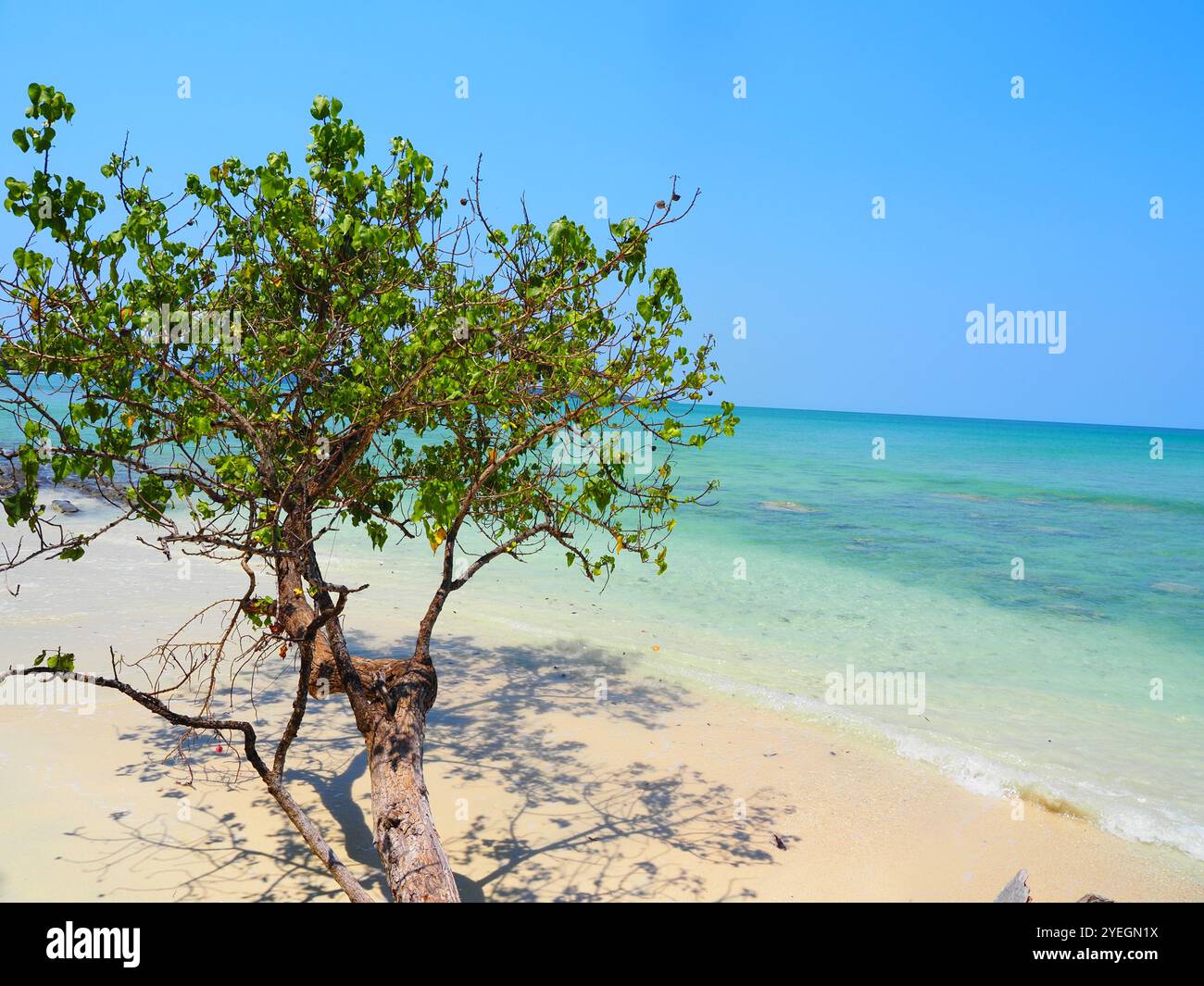 Havelock Island (Swaraj Dweep), Andaman and Nicobar Islands, Andaman ...