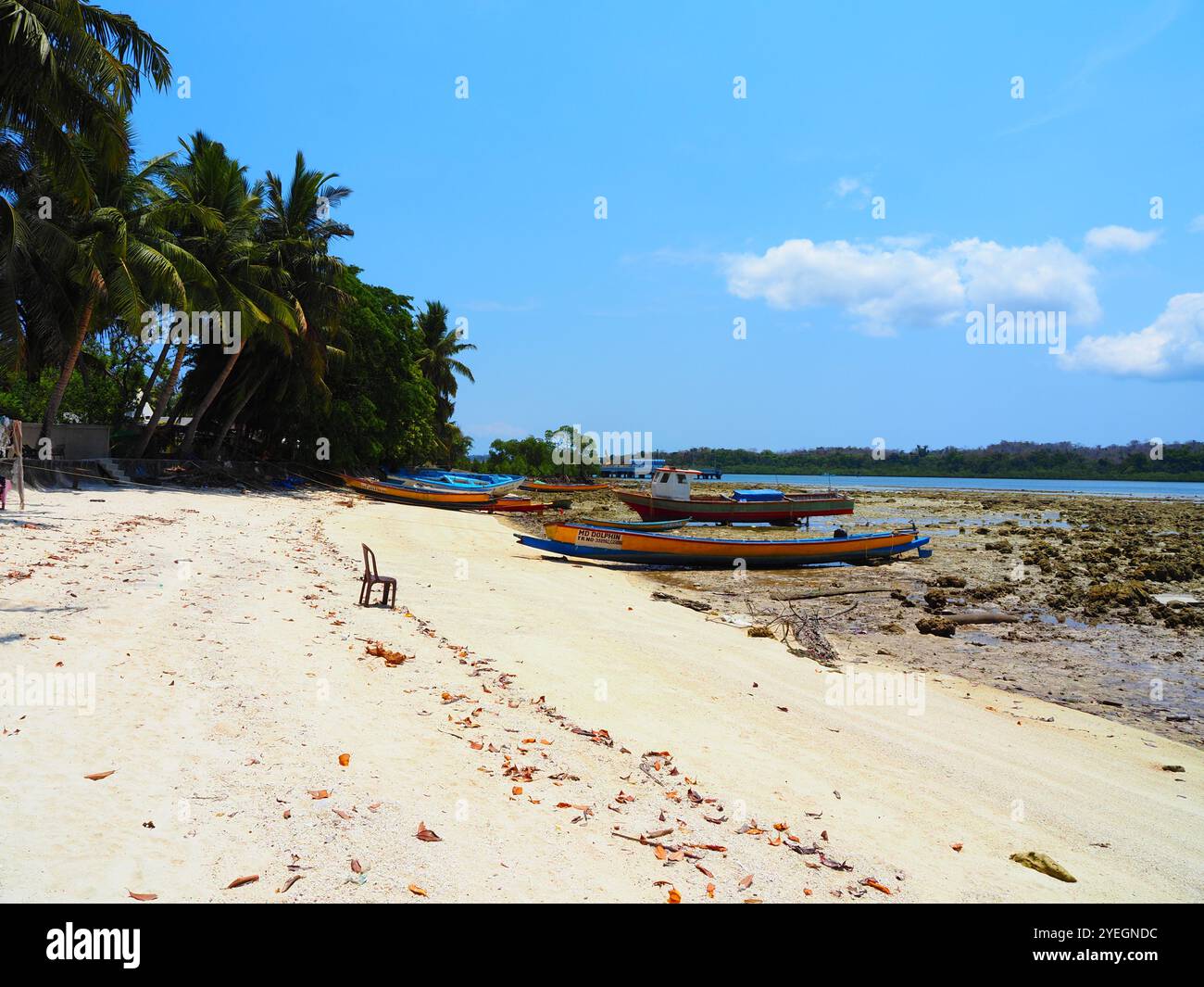 Havelock Island (Swaraj Dweep), Andaman and Nicobar Islands, Andaman ...