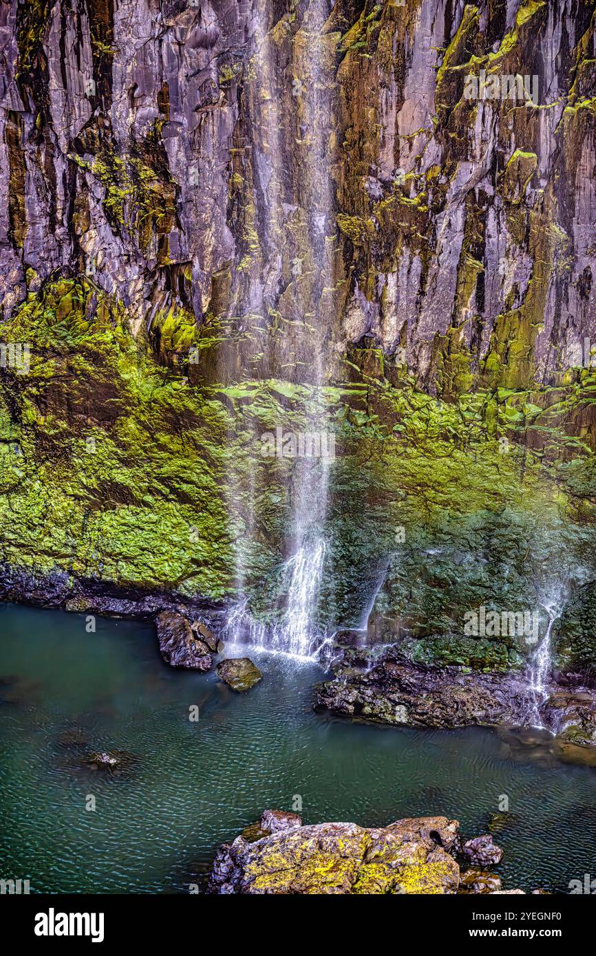 Soothing greenery hi-res stock photography and images - Alamy