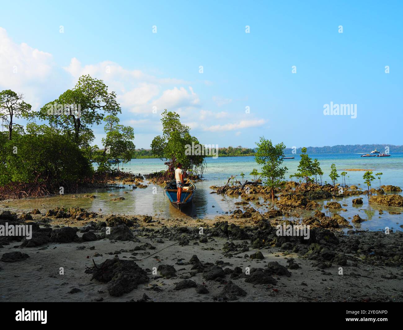 Havelock Island (Swaraj Dweep), Andaman and Nicobar Islands, Andaman ...