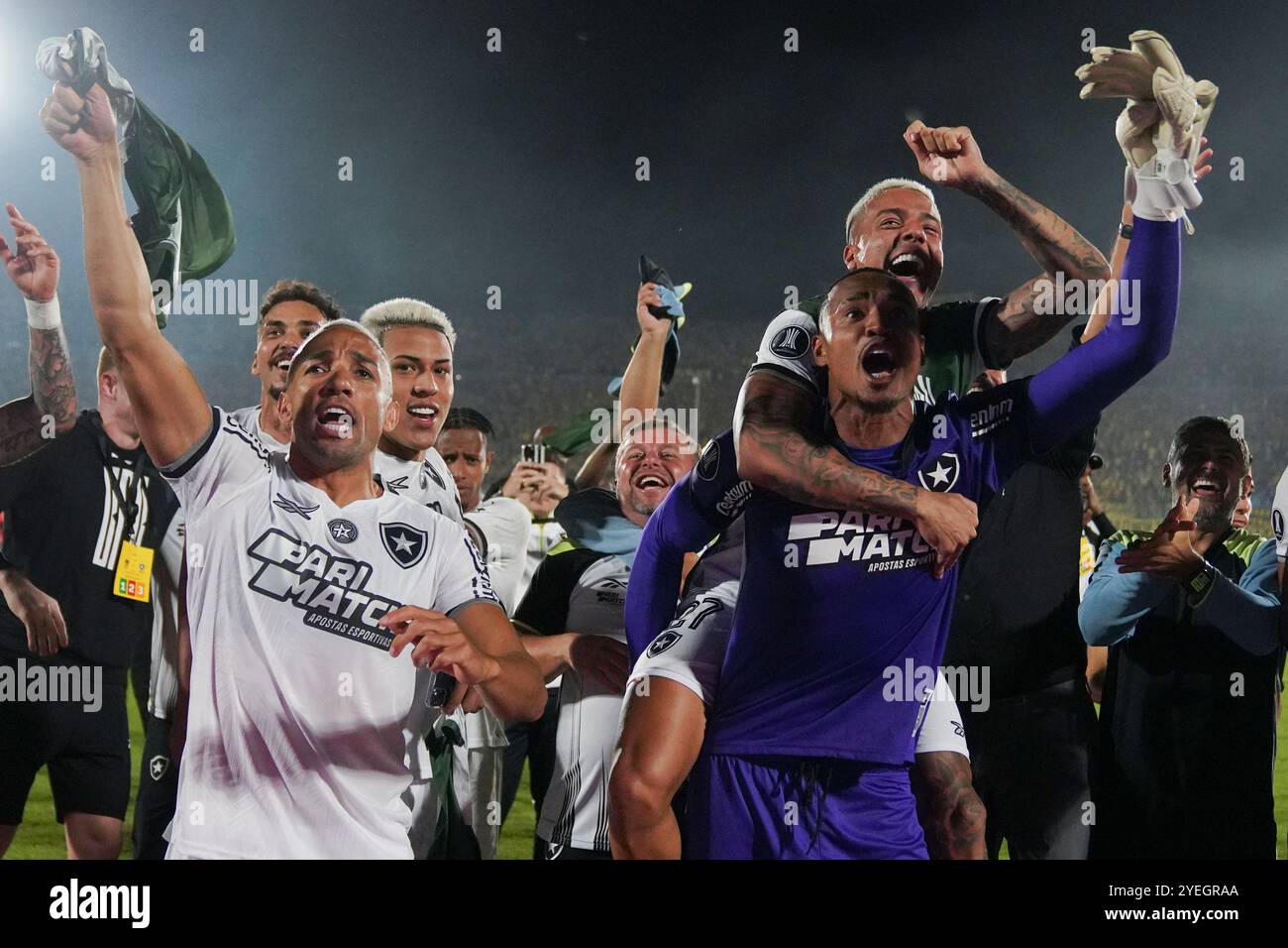 Players of Brazil's Botafogo celebrate at the end of a Copa ...