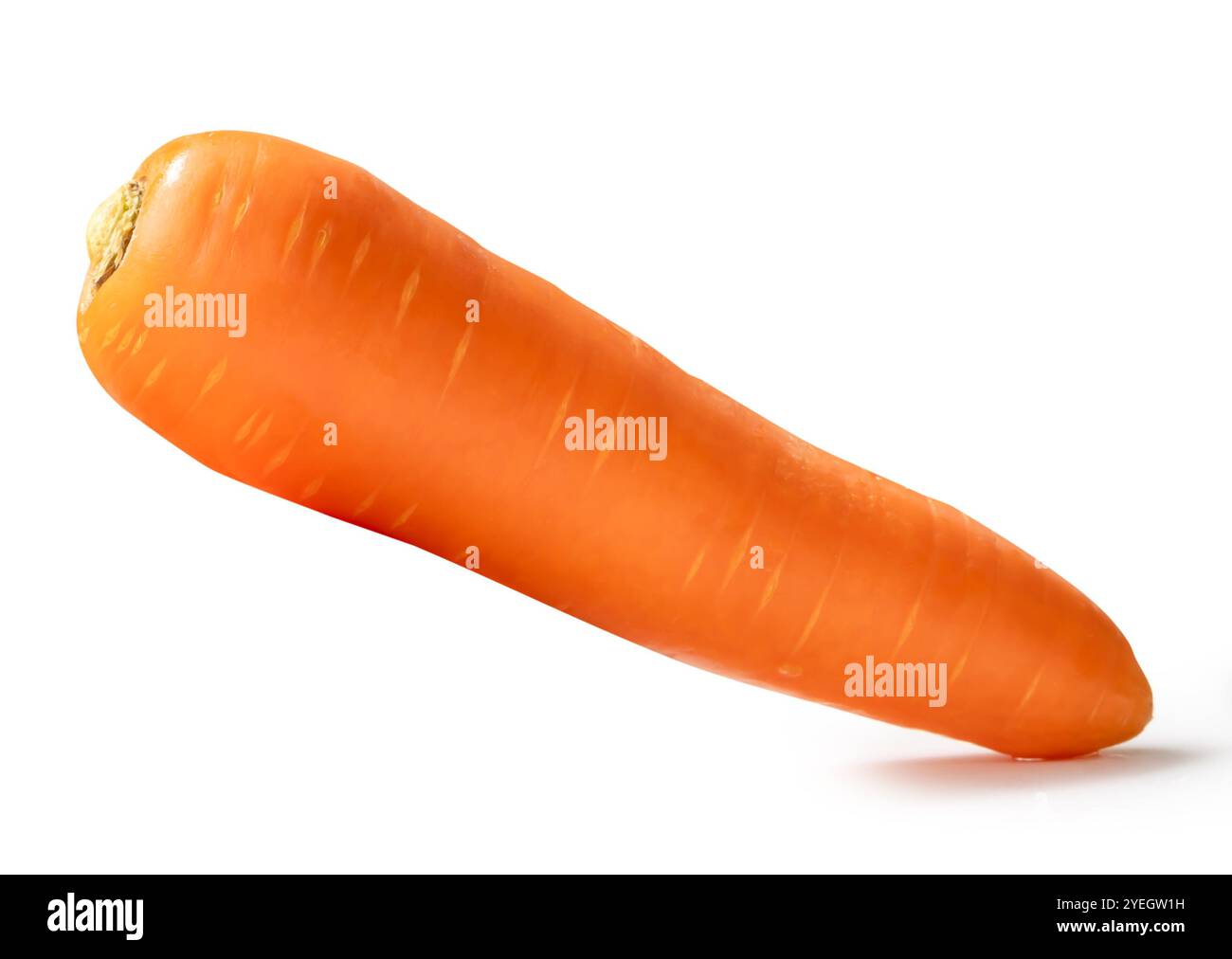 Side view of one fresh orange carrot is isolated on white background ...