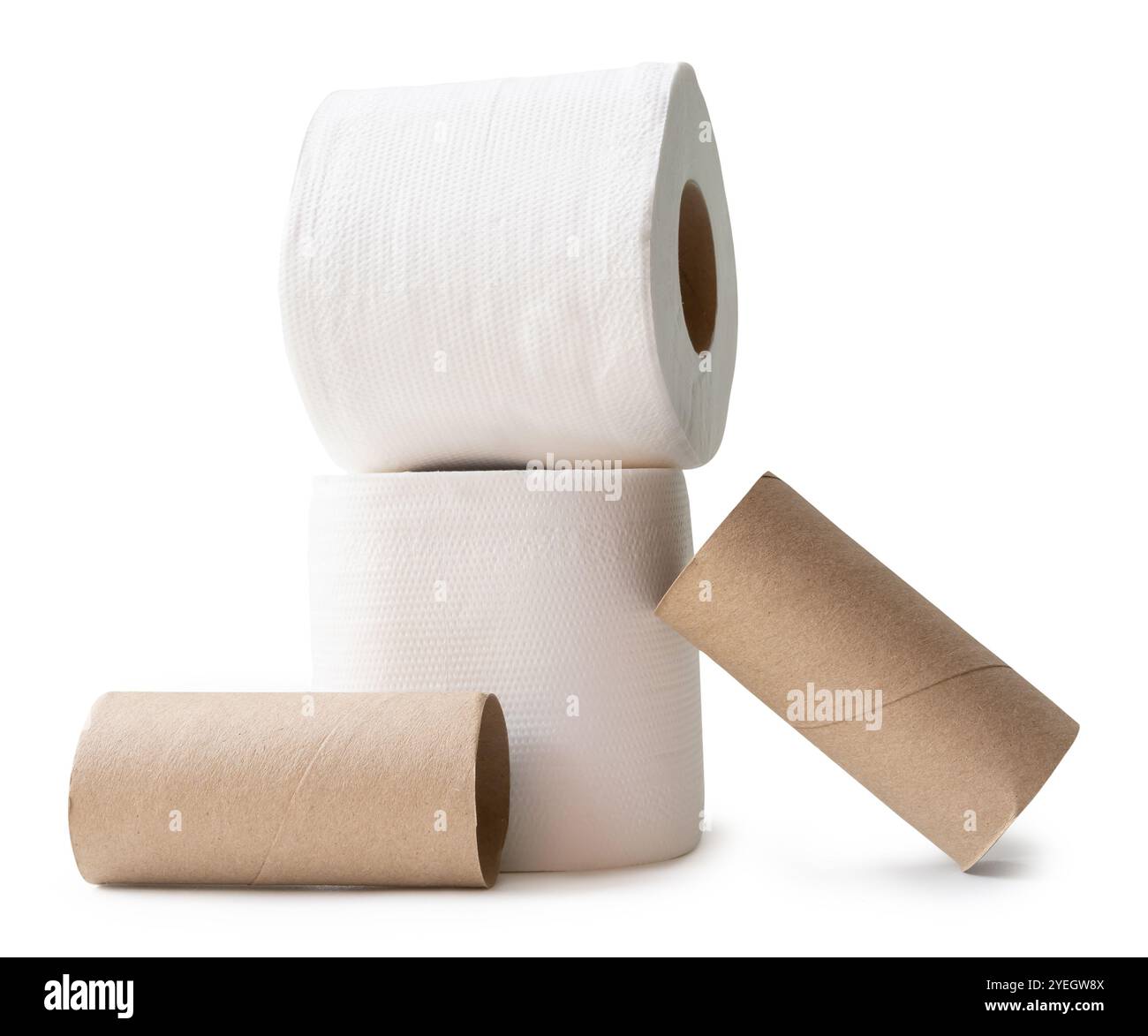 Two rolls of white tissue paper or toilet paper with cores or tubes in ...