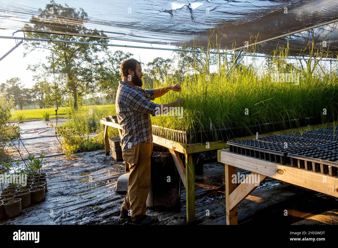 Gulf of america hi-res stock photography and images - Alamy