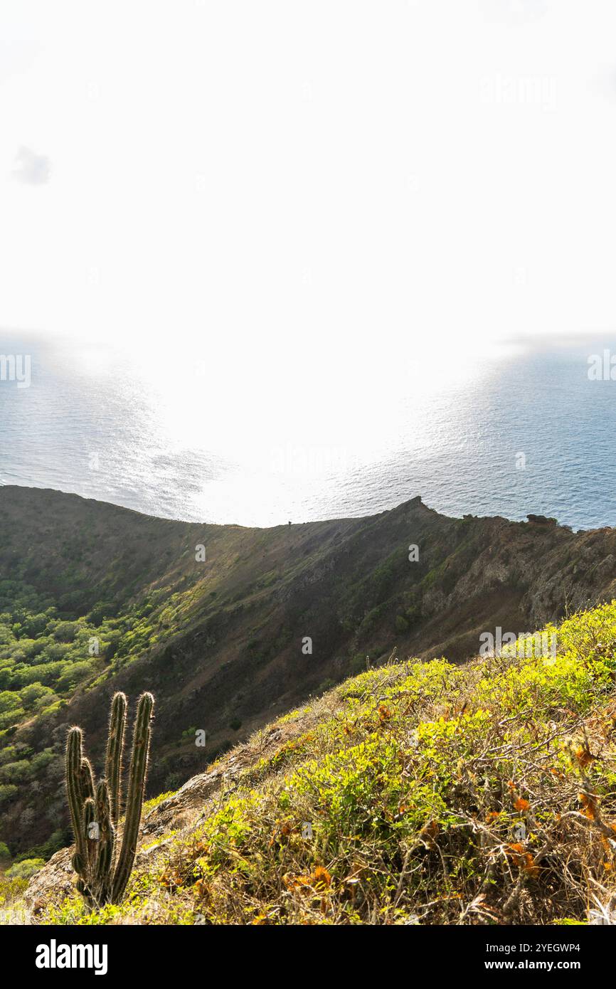 Hawaiian view hi-res stock photography and images - Alamy