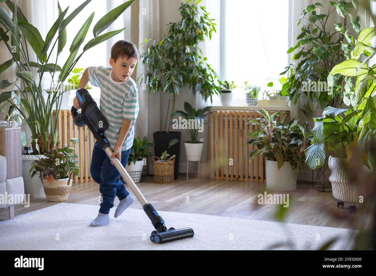 A white-skinned neat child does his household chores. He vacuums a ...