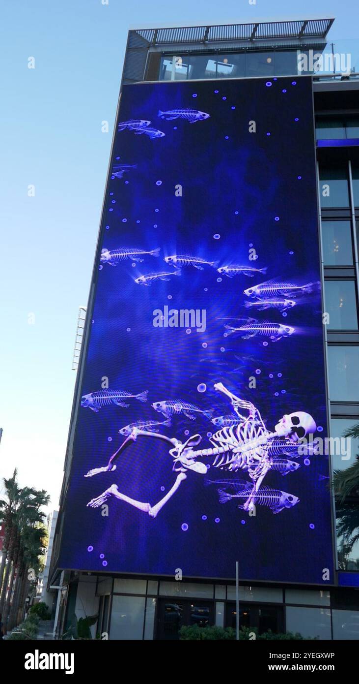 Los Angeles, California, USA 29th October 2024 Halloween Skeleton ...