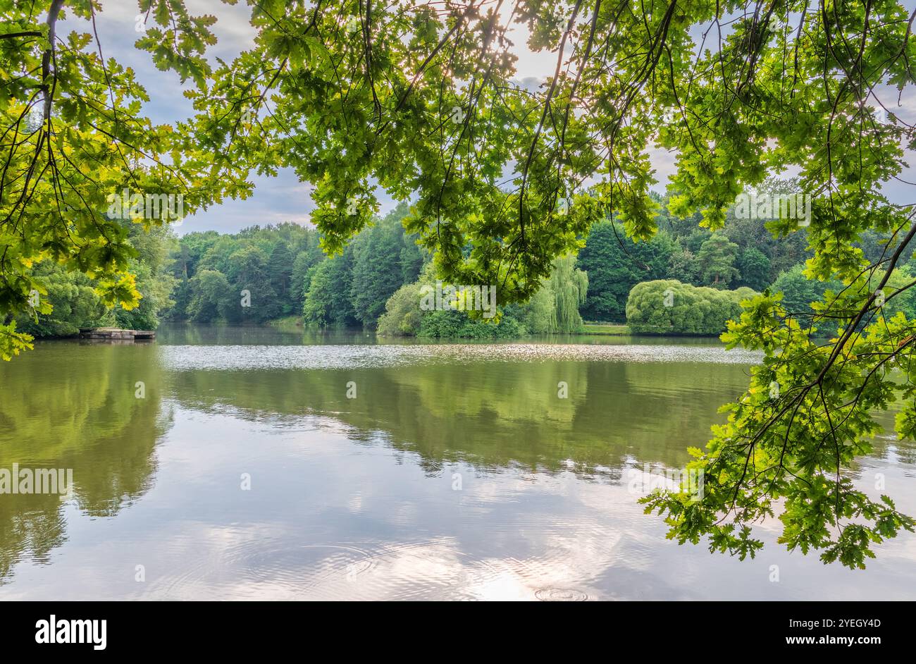 Summer landscape with beautiful lake, green trees and blue sky. A pond ...