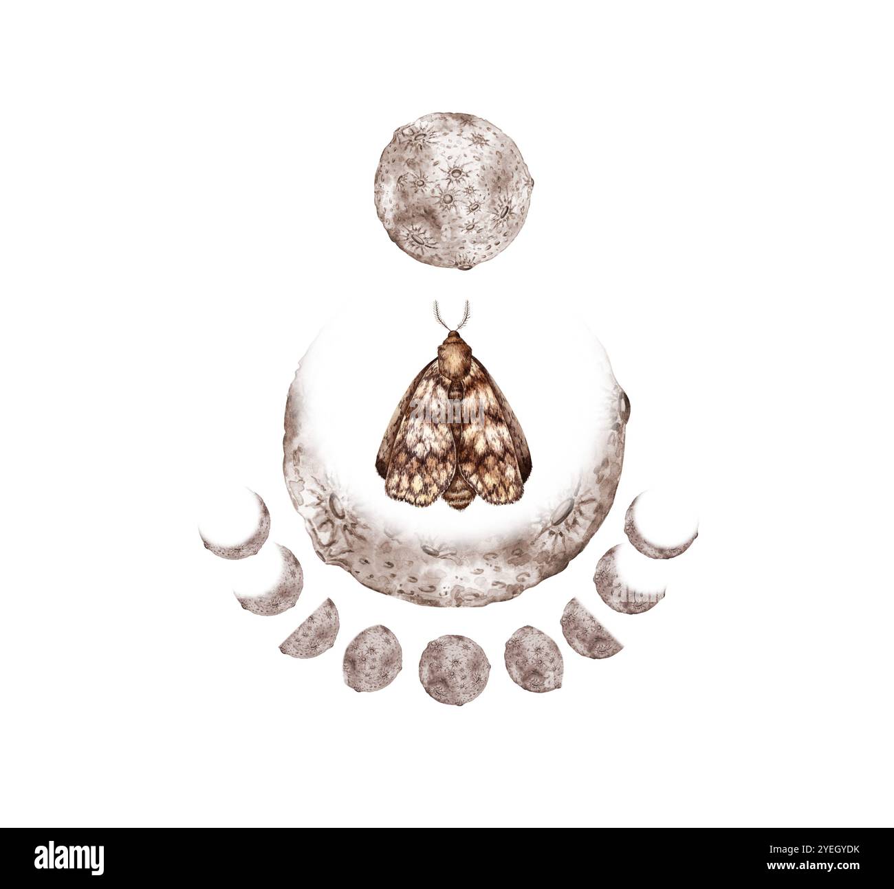 Butterfly and moon phases in brown and beige tones watercolor ...