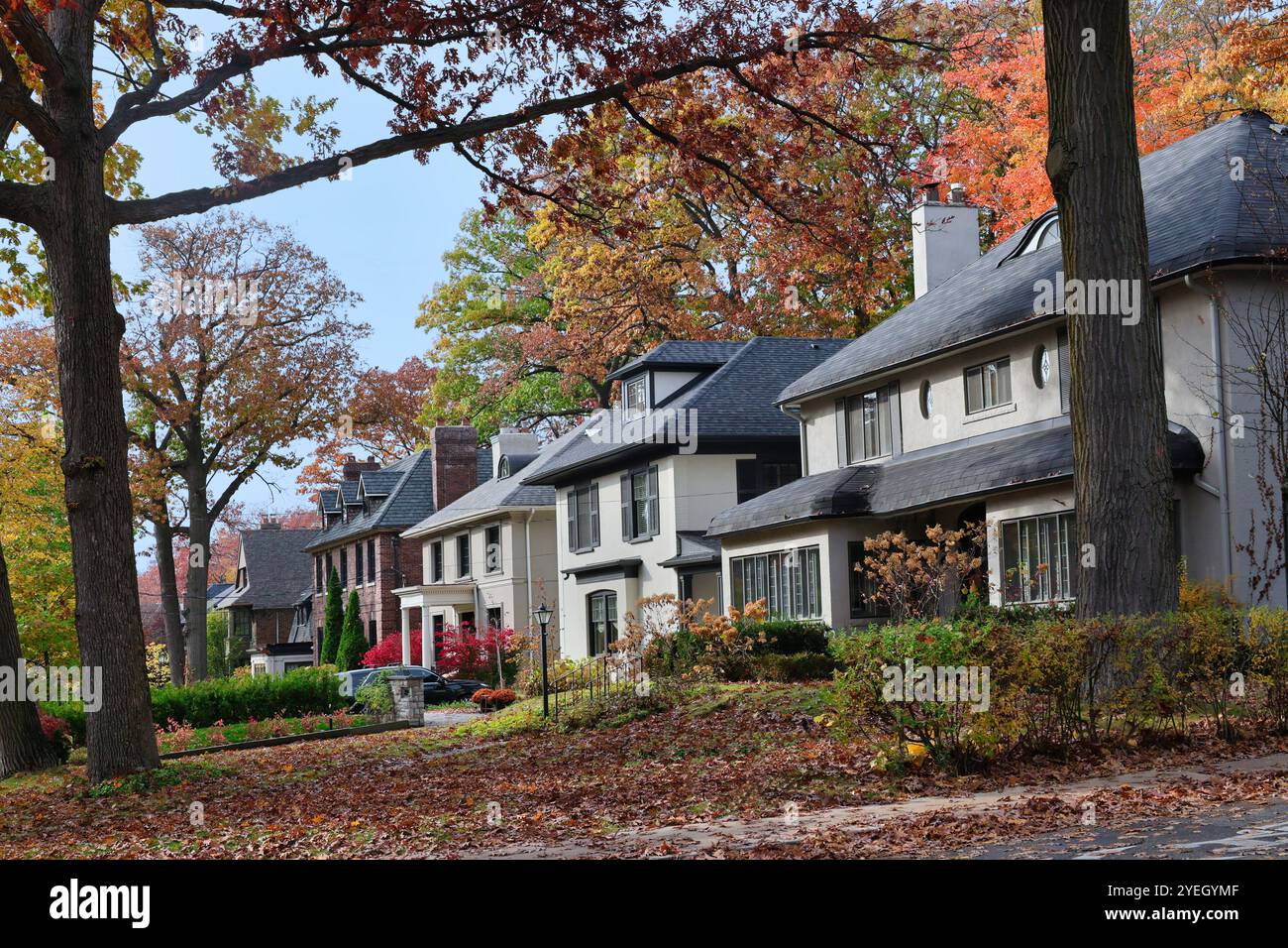 Residential street with large detached houses and fall foliage Stock ...