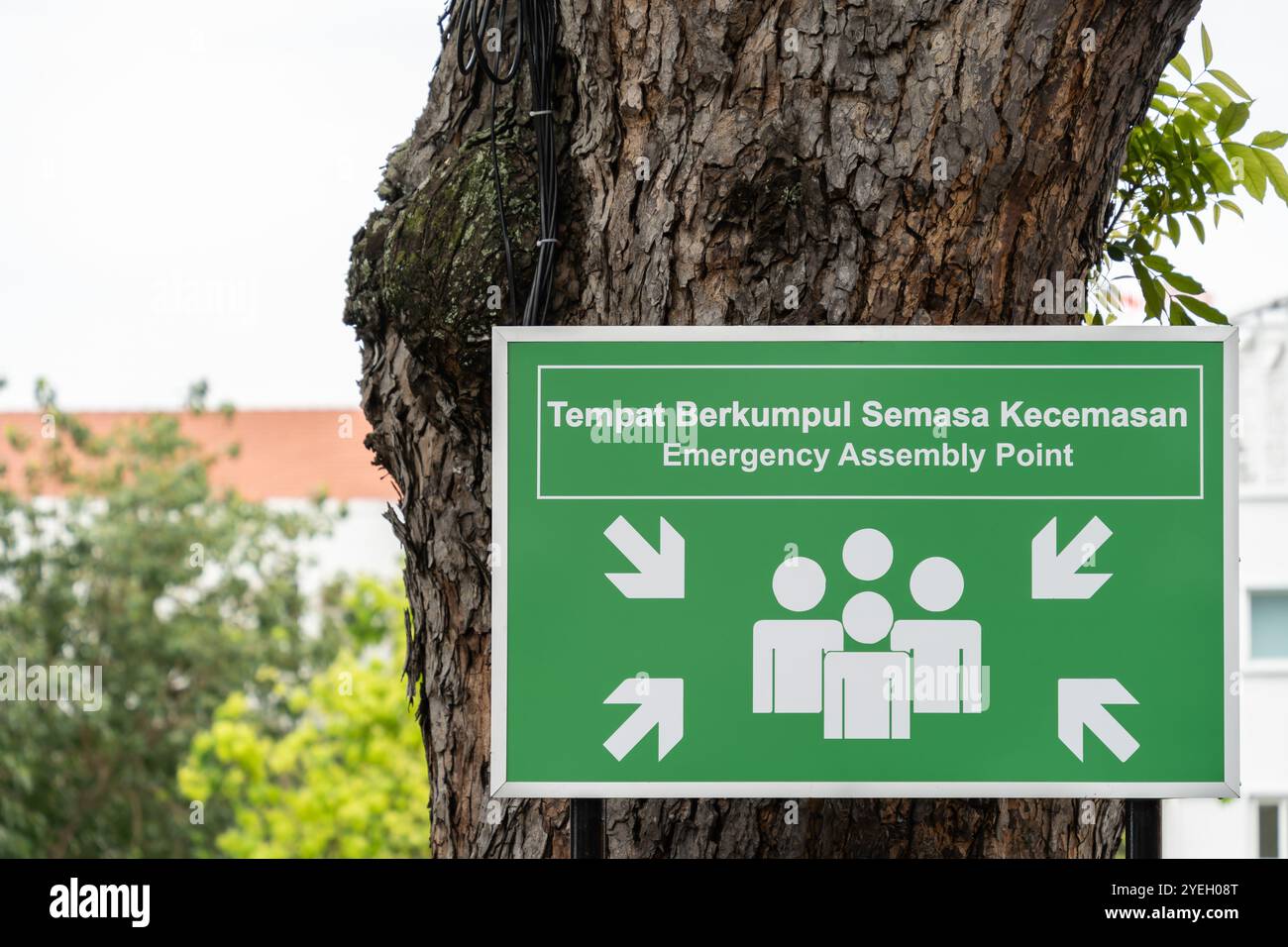 Assembly point sign in hi-res stock photography and images - Alamy
