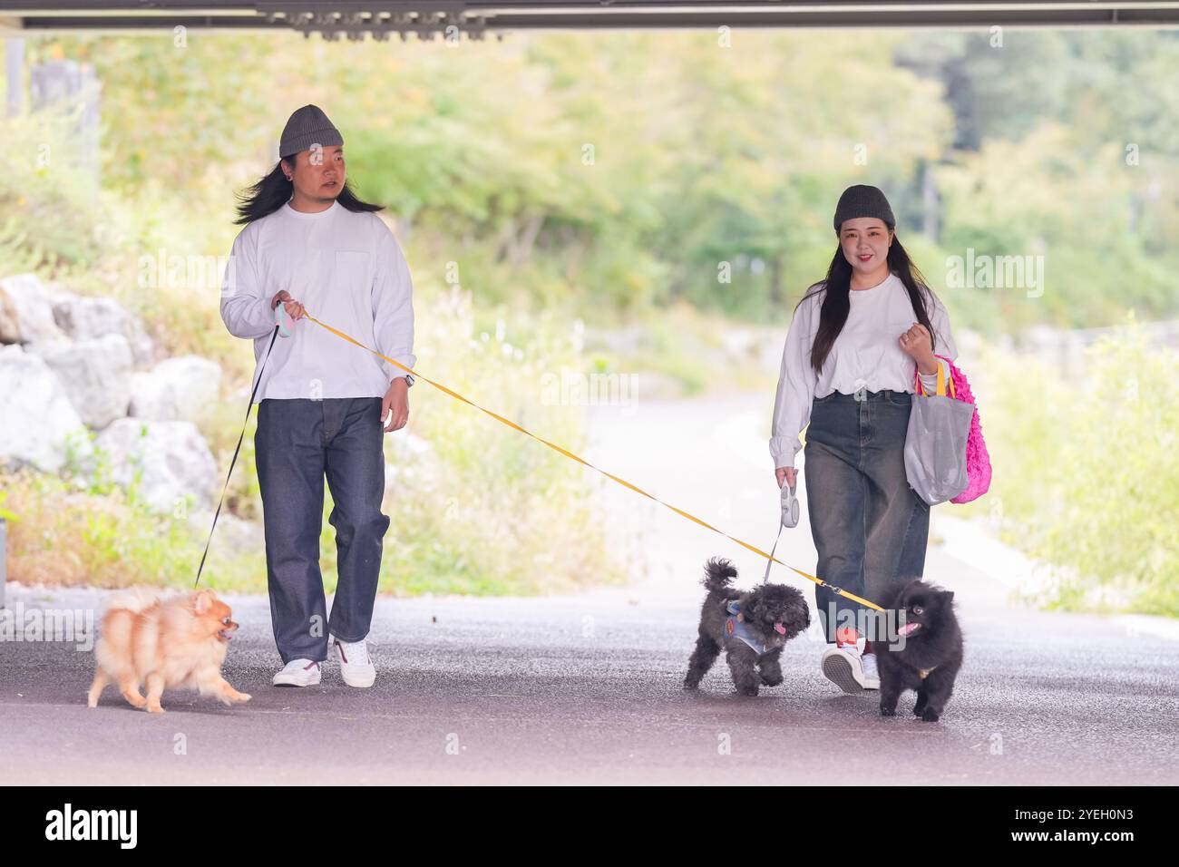 A Korean man and a Japanese woman, both in their 30s, are walking three ...