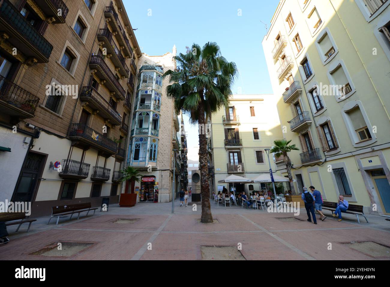 Placa de trilla hi-res stock photography and images - Alamy