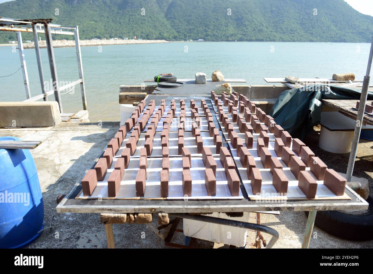 Shrimp paste production hi-res stock photography and images - Alamy