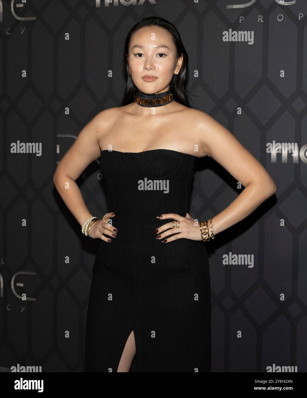 Yerin Ha attends the world premiere of the HBO original series "Dune ...
