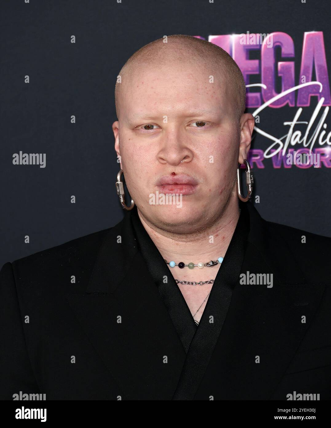 Hollywood, USA. 30th Oct, 2024. Shawn Ross arrives at Megan Thee ...