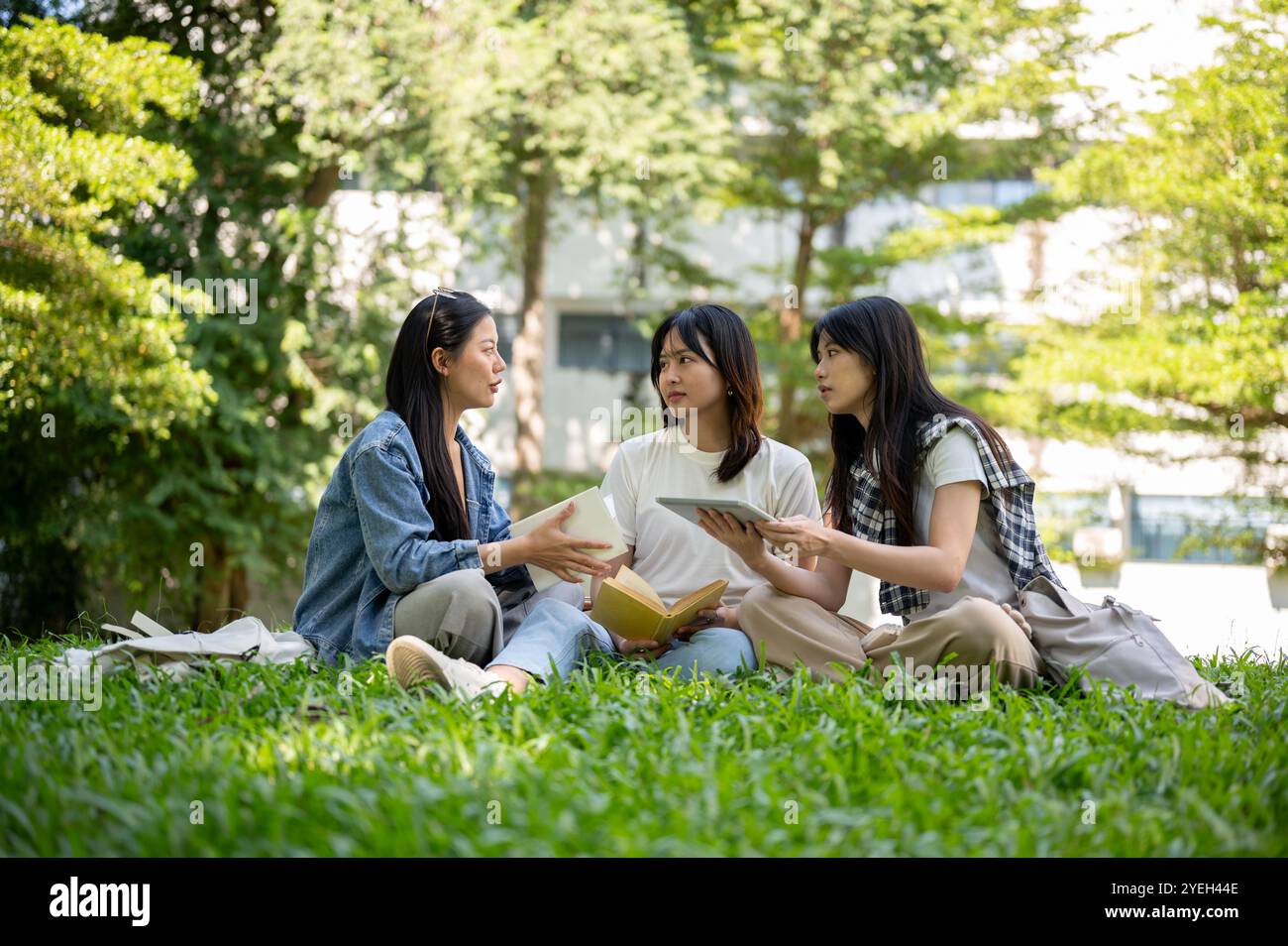 A group of cute Asian female college students in casual clothes sits on ...
