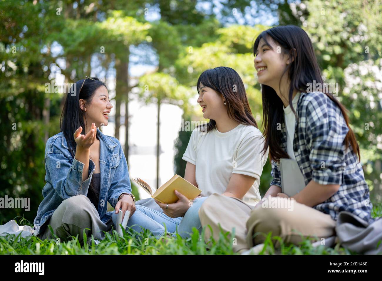 Lively group cheerful college students hi-res stock photography and ...