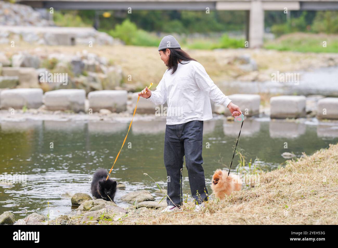 A Korean man and a Japanese woman, both in their 30s, are walking three ...