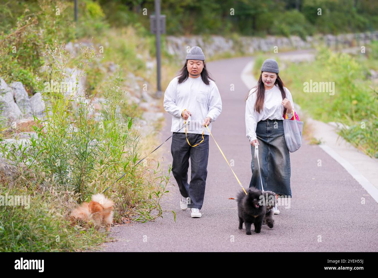 A Korean man and a Japanese woman, both in their 30s, are walking three ...