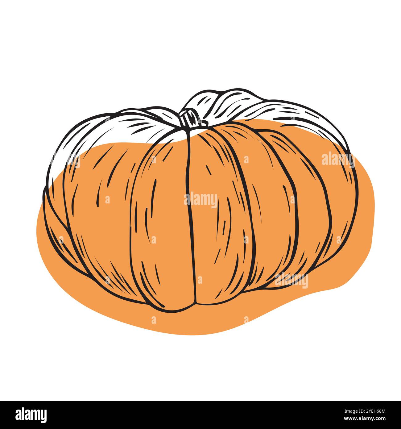 Hand drawn pumpkin sketch with color spot. Sketch style icon ...