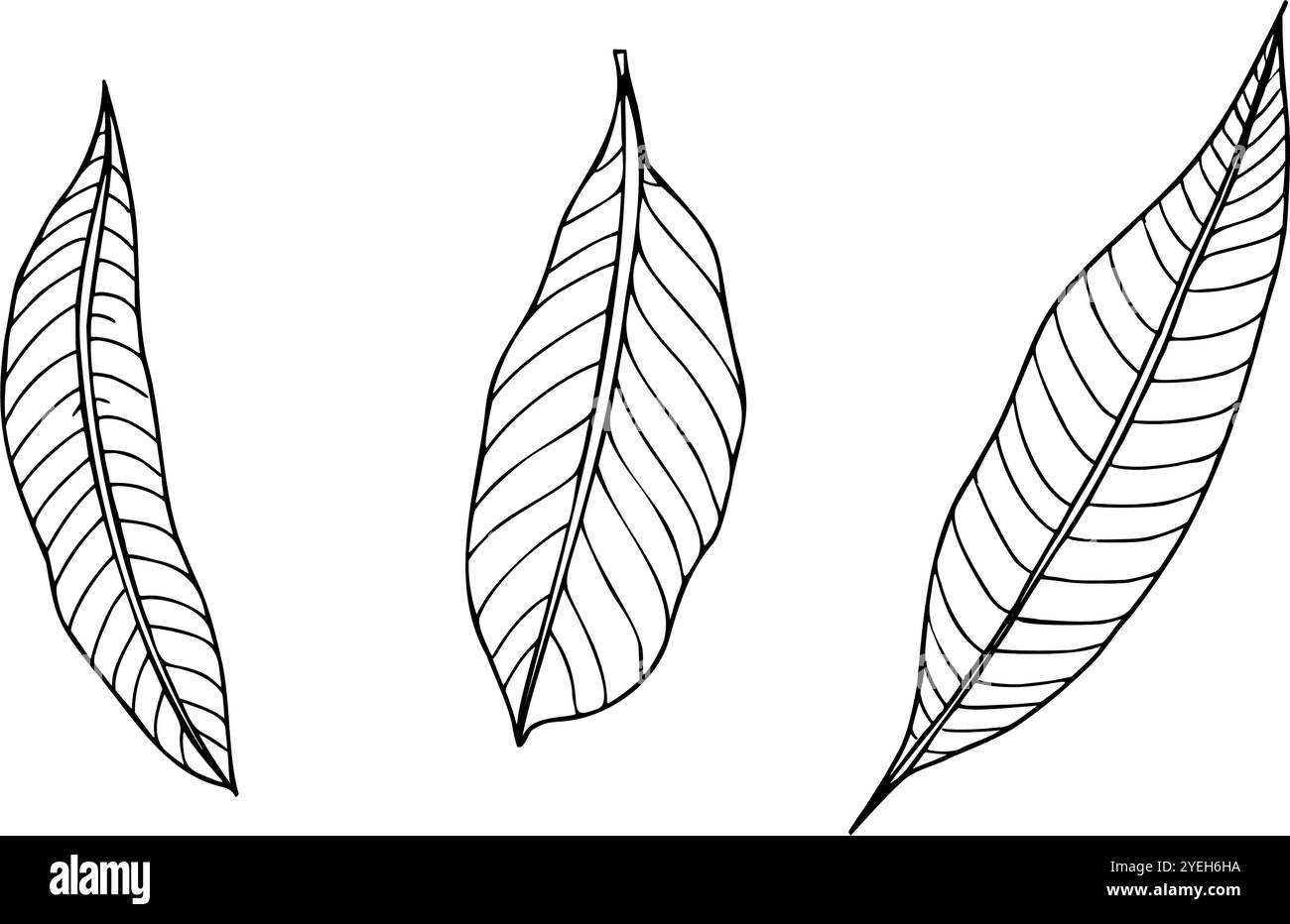 Marian page Cut Out Stock Images & Pictures - Alamy