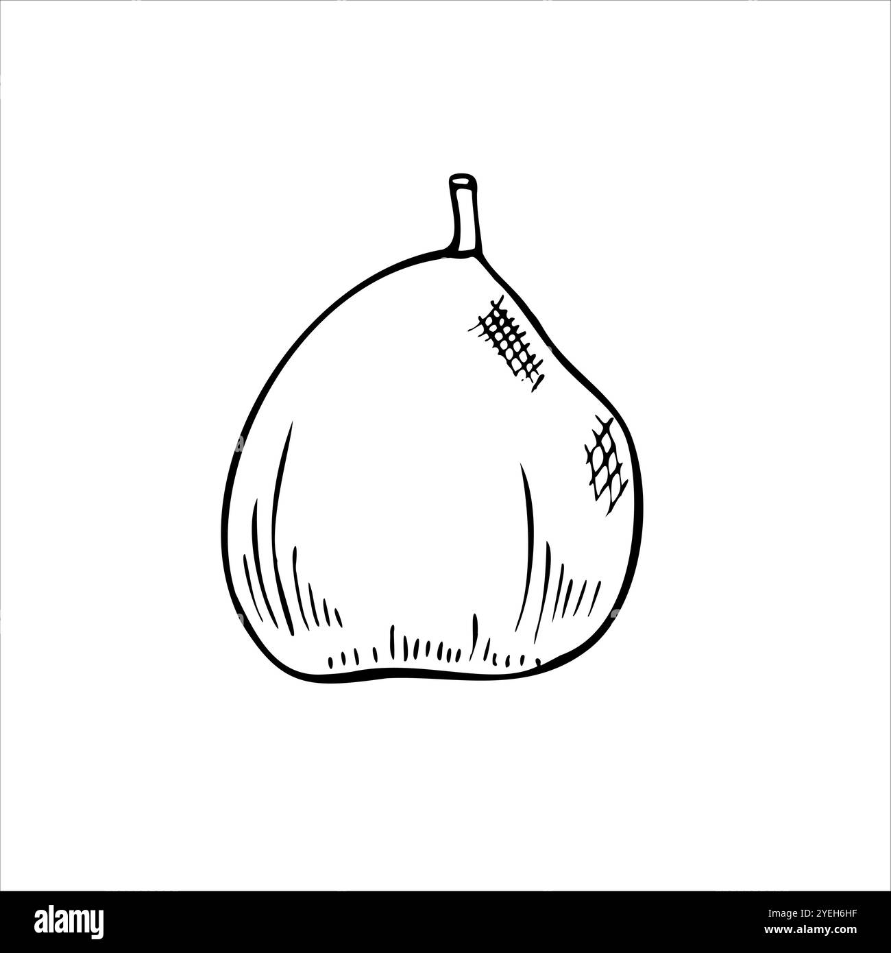 Whole pear or guava fruit vector isolated illustration painted by black ...