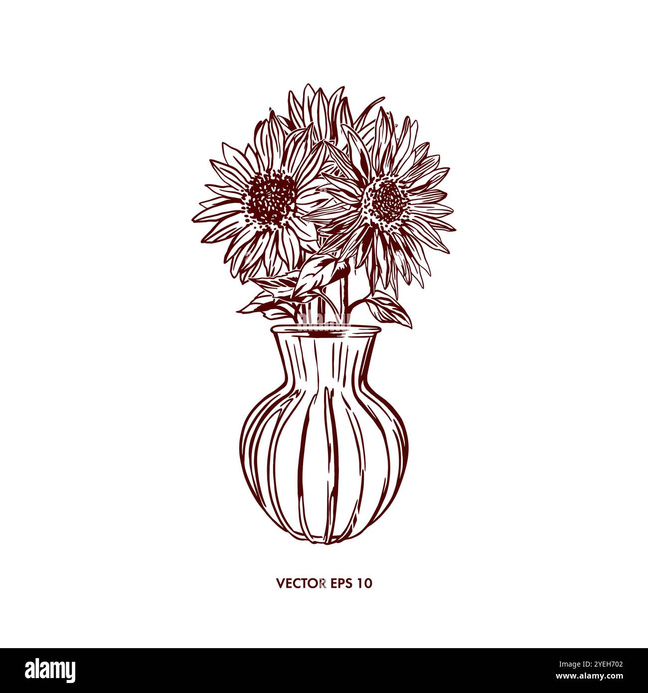 Sunflowers in a vase. Vector illustration of a rustic flower bouquet ...