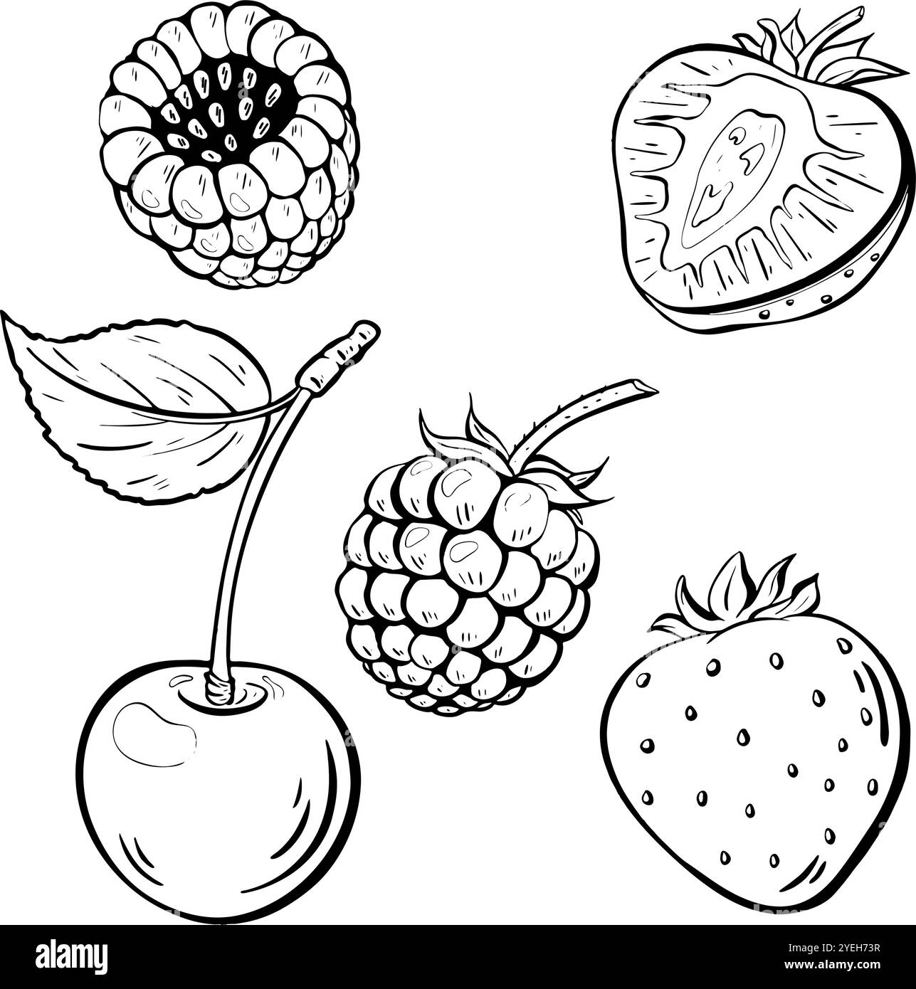 Fresh Berries and Delightful Cherry. strawberries, raspberries ...