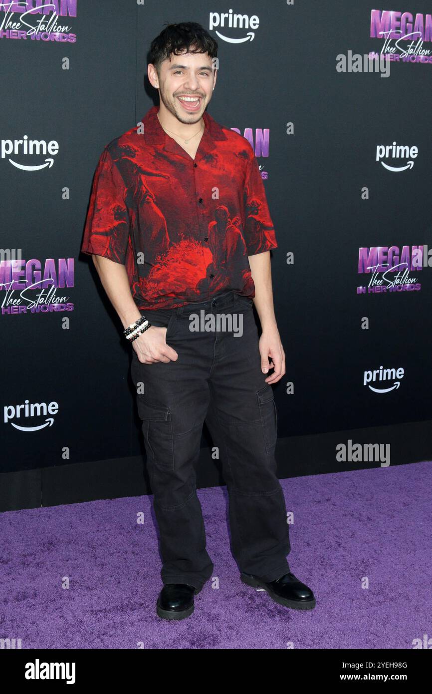 October 30, 2024, Los Angeles, Ca, USA: LOS ANGELES - OCT 30: David ...