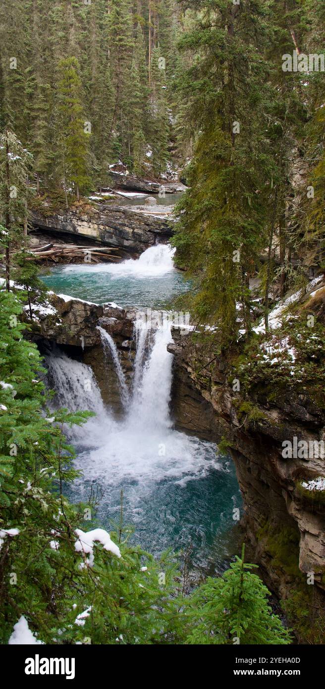 Evergreen trees in banff national hi-res stock photography and images ...