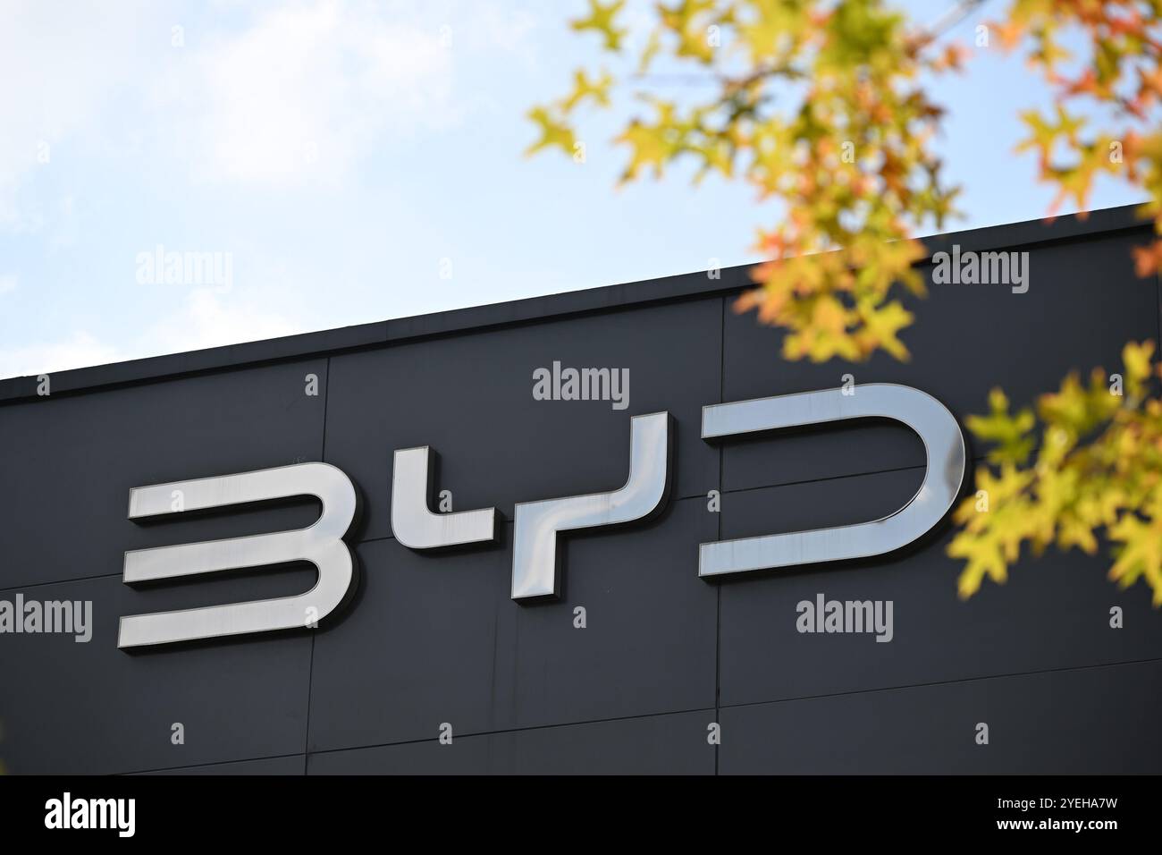 NANJING, CHINA - OCTOBER 31, 2024 - The LOGO of a BYD 4S store in ...