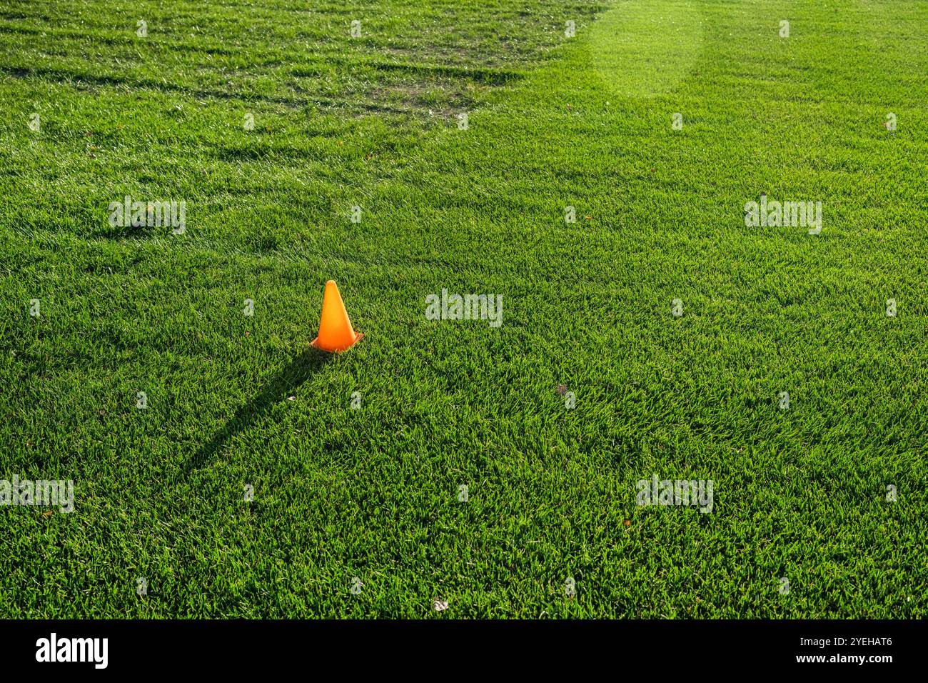 A bright orange cone positioned prominently on a lush green grass field ...