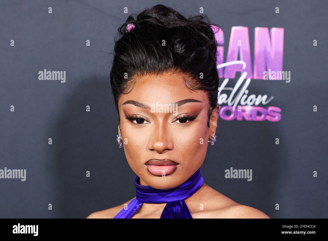 HOLLYWOOD, LOS ANGELES, CALIFORNIA, USA - OCTOBER 30: Megan Thee ...
