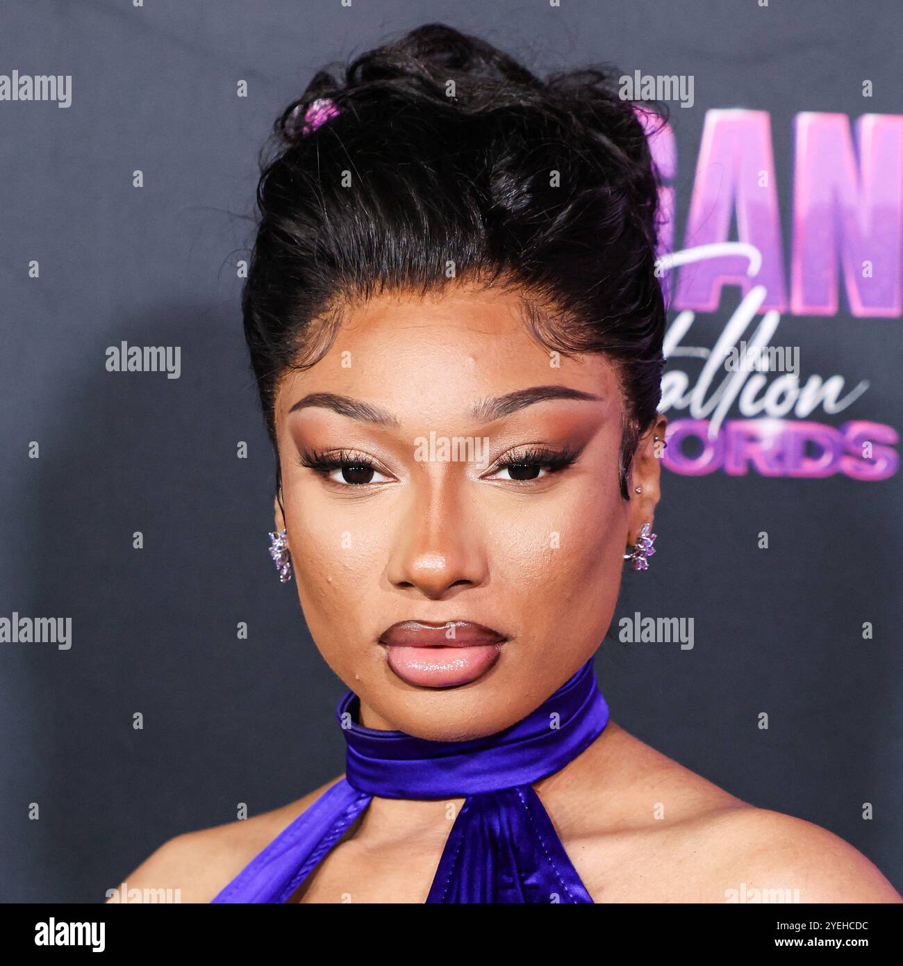 HOLLYWOOD, LOS ANGELES, CALIFORNIA, USA - OCTOBER 30: Megan Thee ...