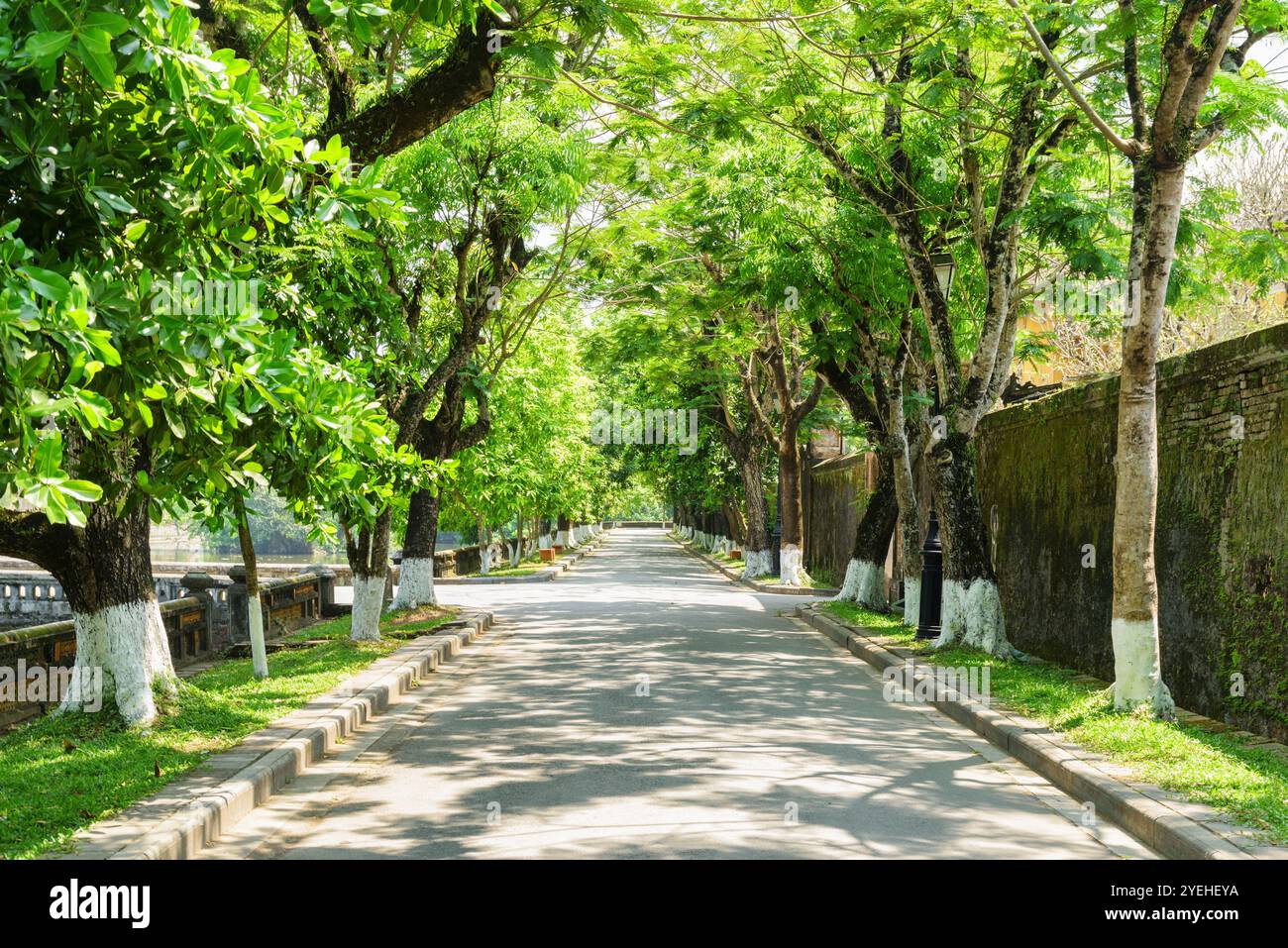 Beautiful green shady street at the Imperial City, Hue, Vietnam Stock ...