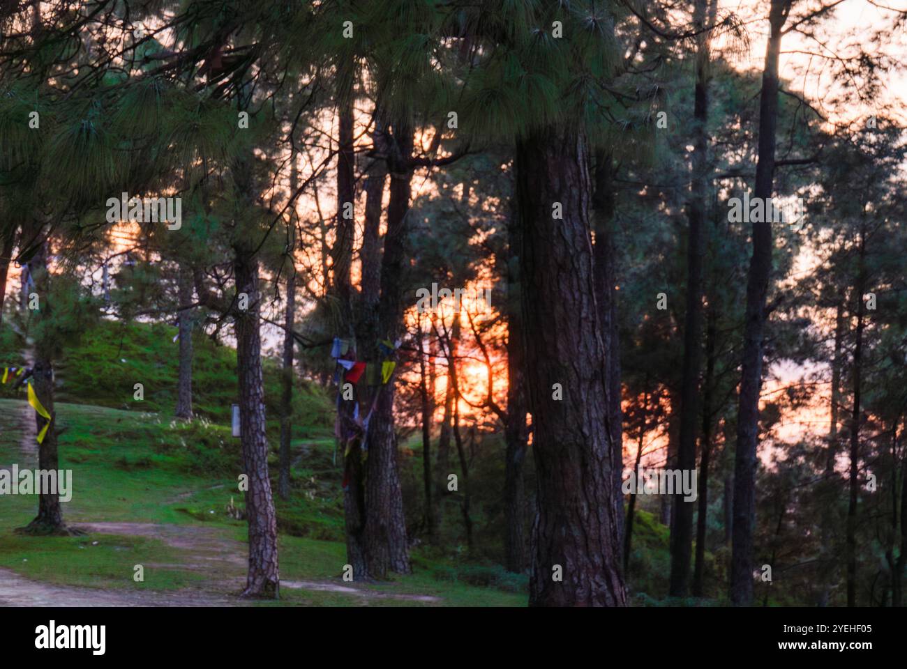 Beautiful Sunset Golden Hour of Kathmandu Valley City in Nepal with ...